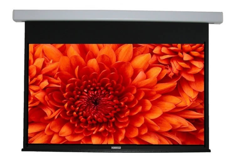 Tela Nardelli Elétrica Luxo NEL-004, 243x182 Cm, 120", 4:3 | Global ...