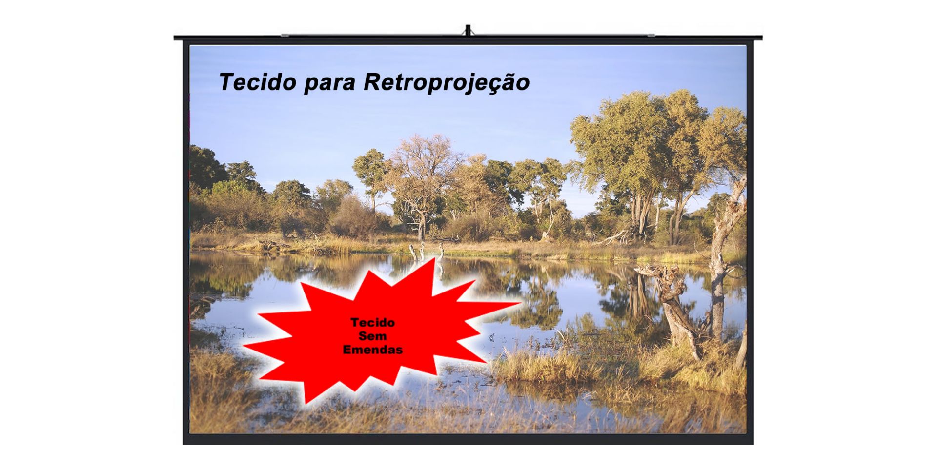 Tela Nardelli Mapa Retroprojeção NMLR-007, 243x152 Cm, 113”, 16:10 ...